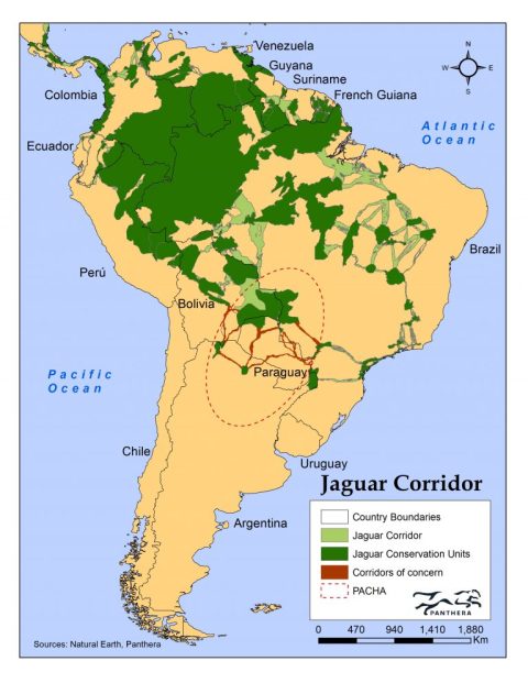 América Latina - Wildlife Connect Powered by WWF